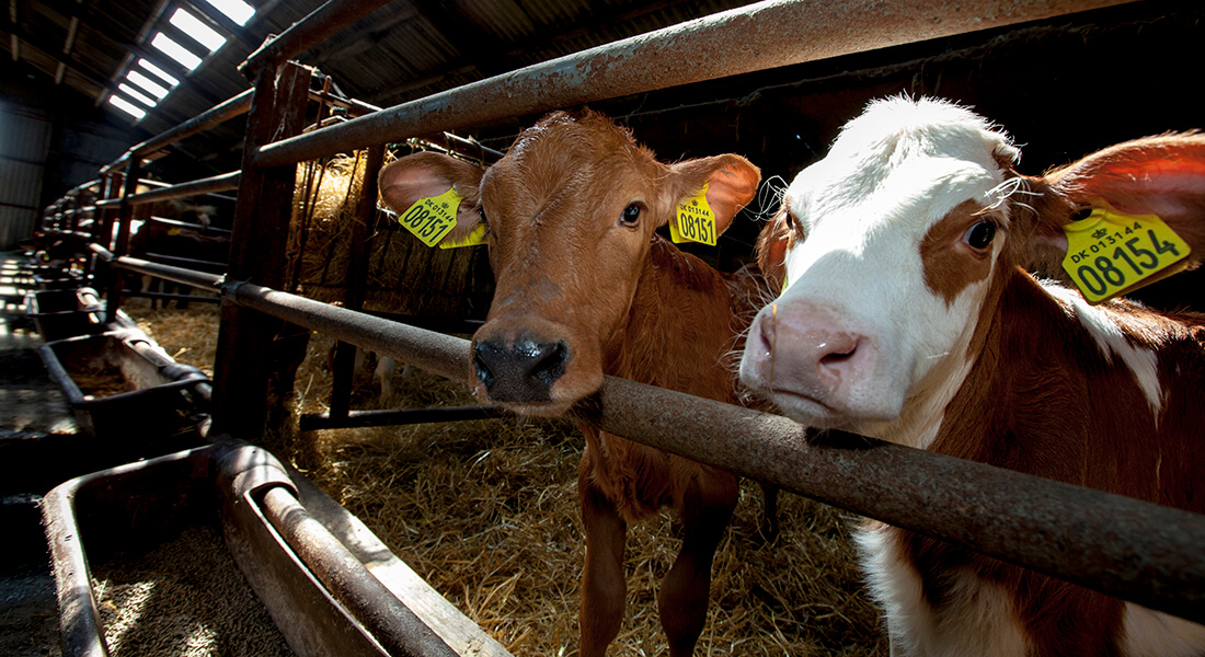 PERMA Full-Scale Methane Eradication Photochemical System (MEPS ...